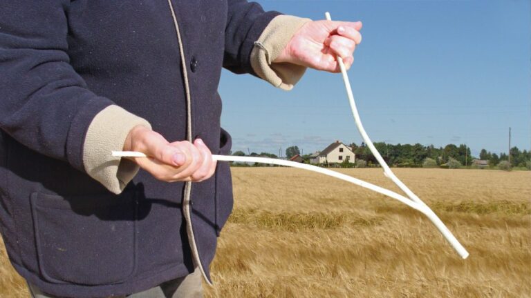 The Bizarre History Of Dowsing Rods - PicTellMe